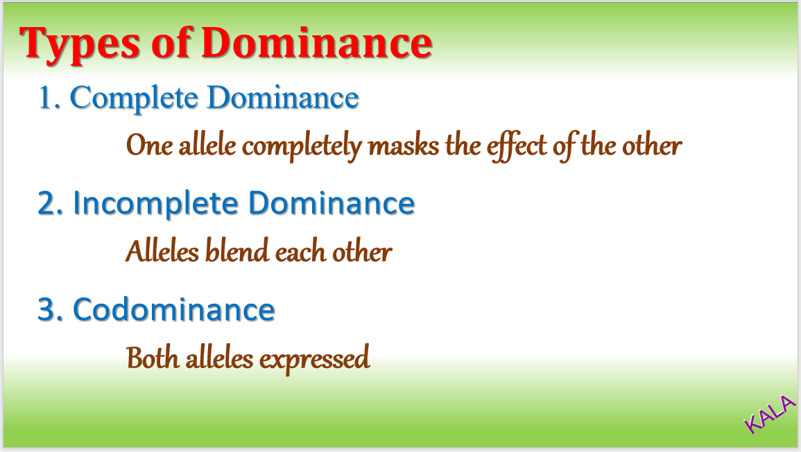 Types of Dominance | KALA